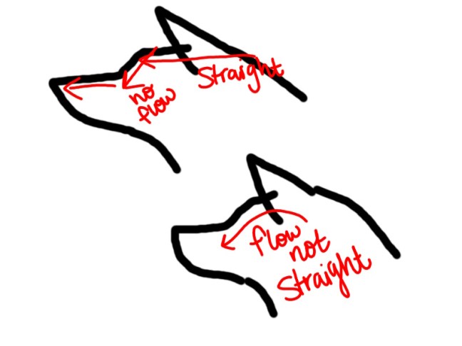 NIPPO Classic Seminar notes 2024 – Boomlay Shiba Inu